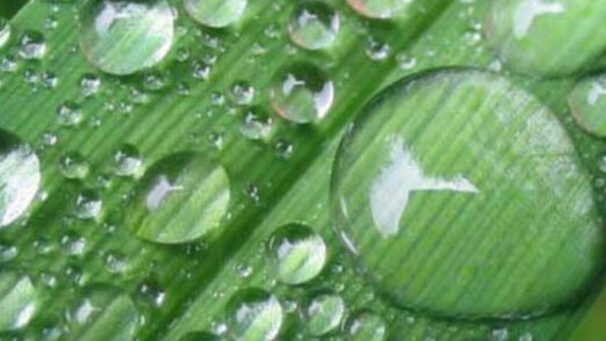 Cemre Nedir? Cemre Ne Demek Kısaca? - Nedir ve Nasıl